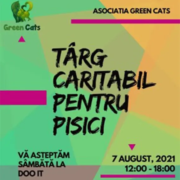 Green Cats charity fair - Green Cats