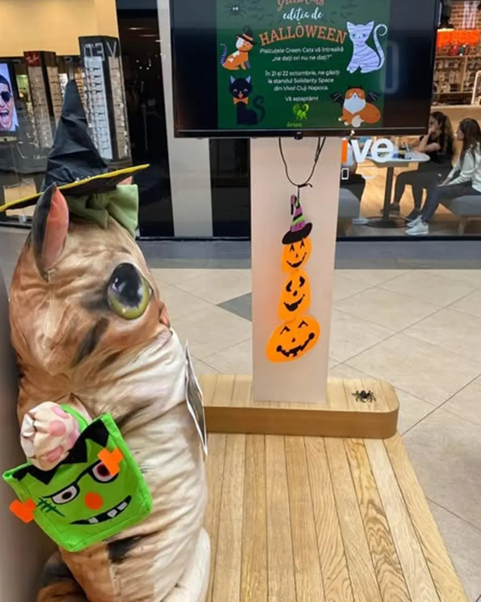 Trick or Treat Halloween Fundraiser for Green Cats - Green Cats